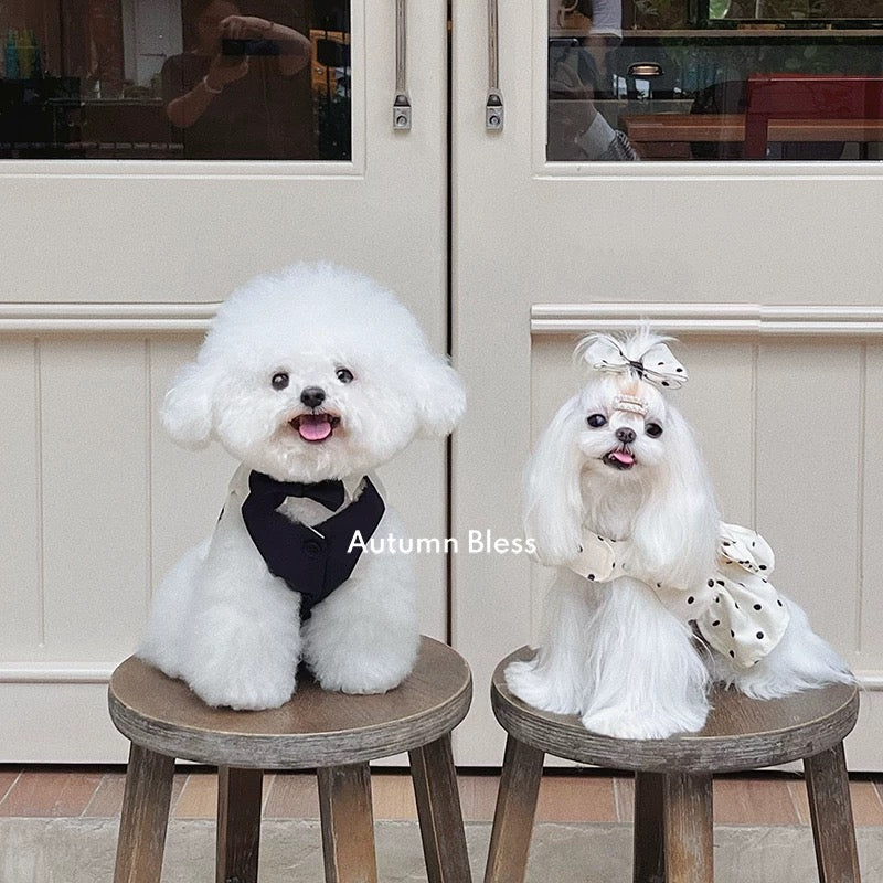 Autumn Bless サテン光沢ドレス＆ベストカップルセット | Satin Glossy Dress and Vest Couple